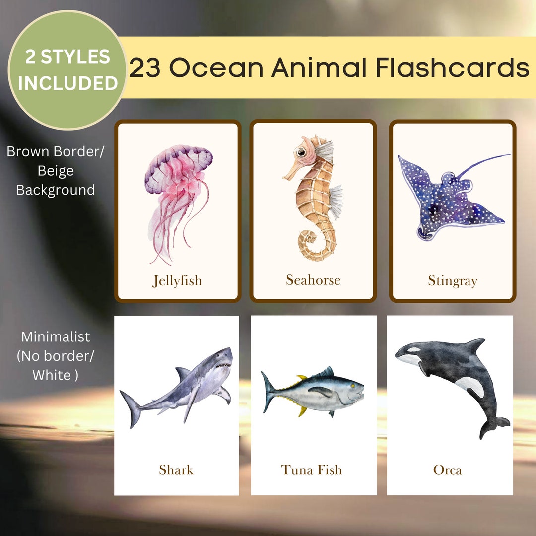23 Ocean Animal Flash Cards - Etsy