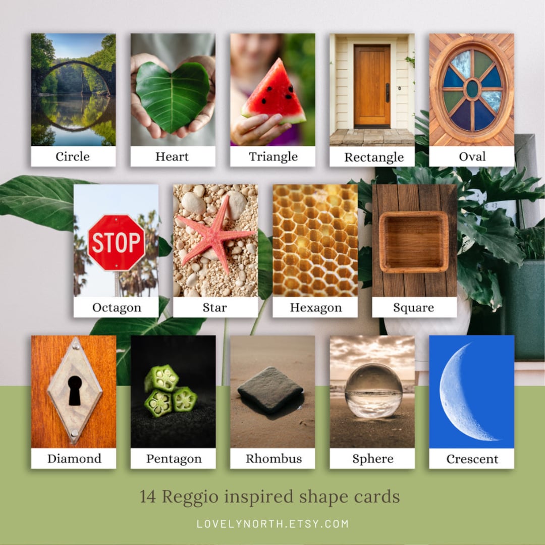 Nature Shapes, High Resolution Photographs, Reggio-inspired Flashcards ...