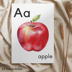 Alphabet Posters, Watercolor Illustrations, Large Format for Classroom ...