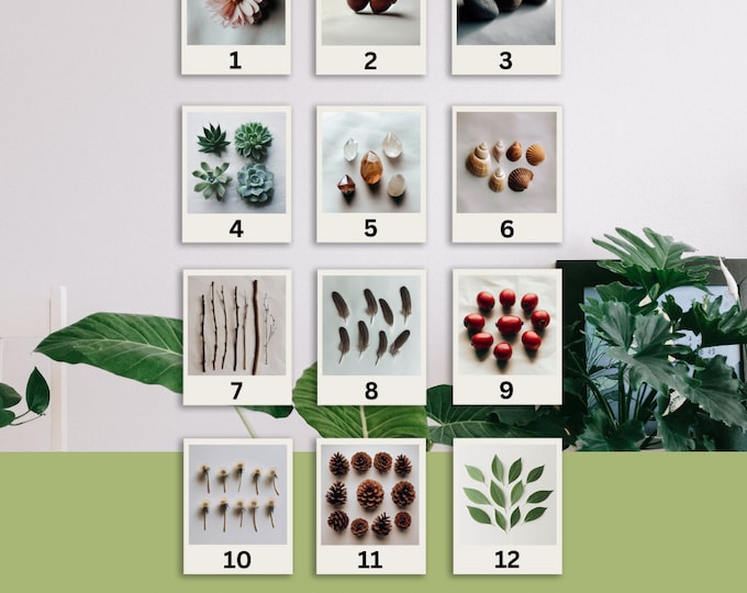 Number Cards 1-12 With Natural Objects for Counting, Polaroid Style ...