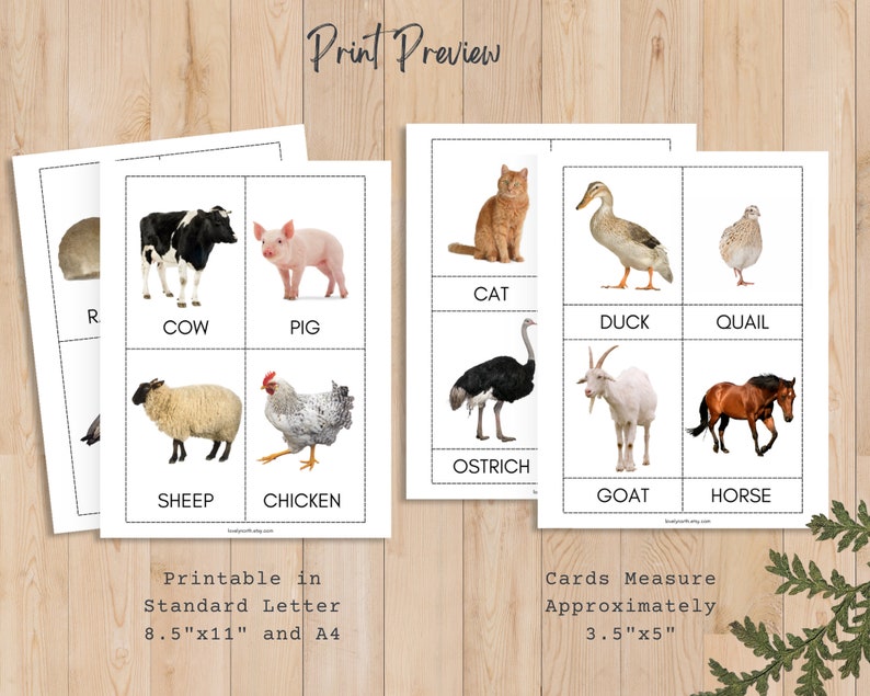 24 Farm Animal Flashcards, Montessori 3-part Nomenclature Cards - Etsy