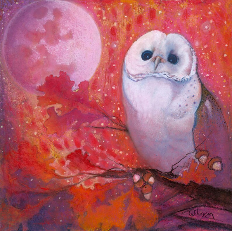 This Lovable Barn Owl "fat Harold" is a Contemporary Art Print, the ...
