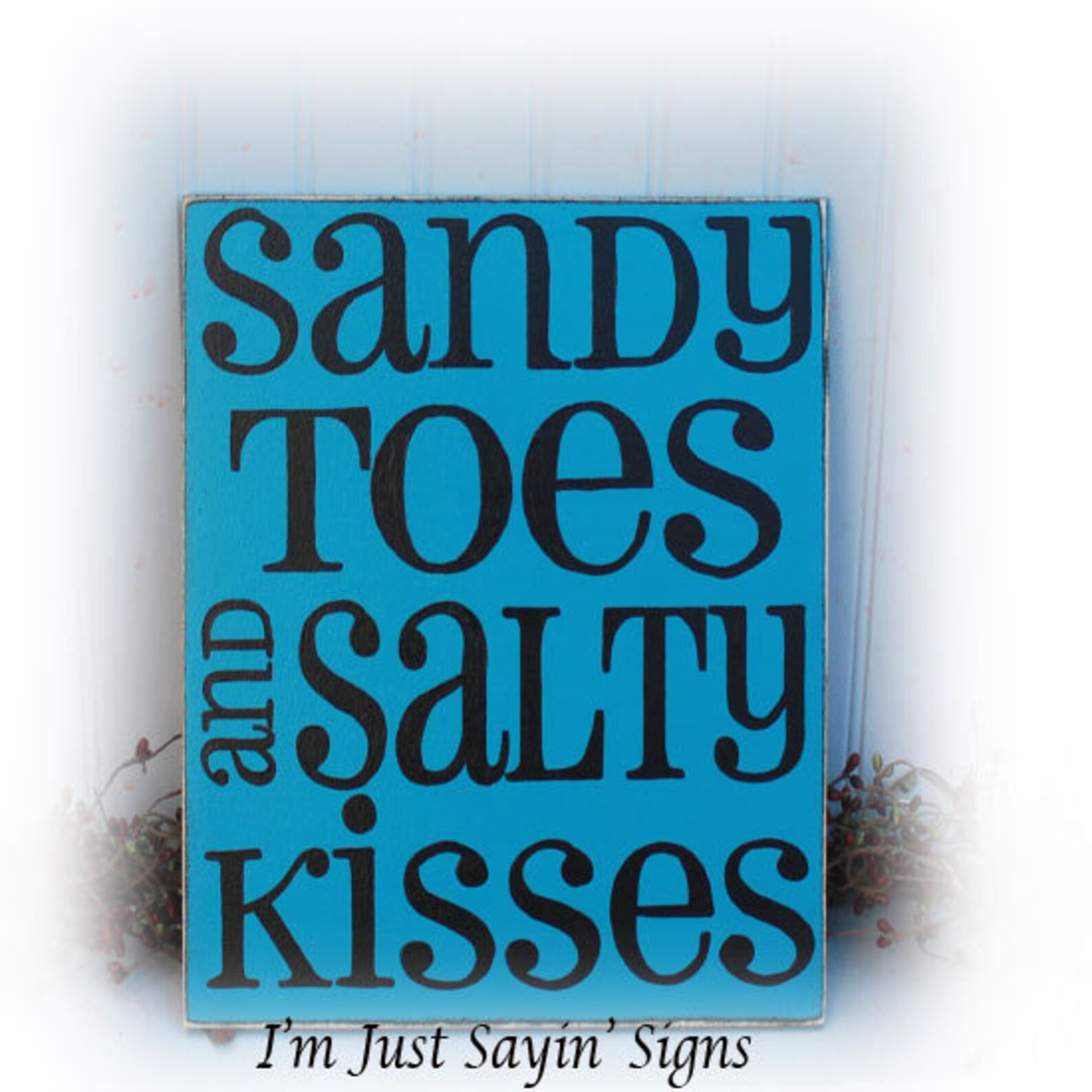 Sandy Toes and Salty Kisses Wood Sign - Etsy