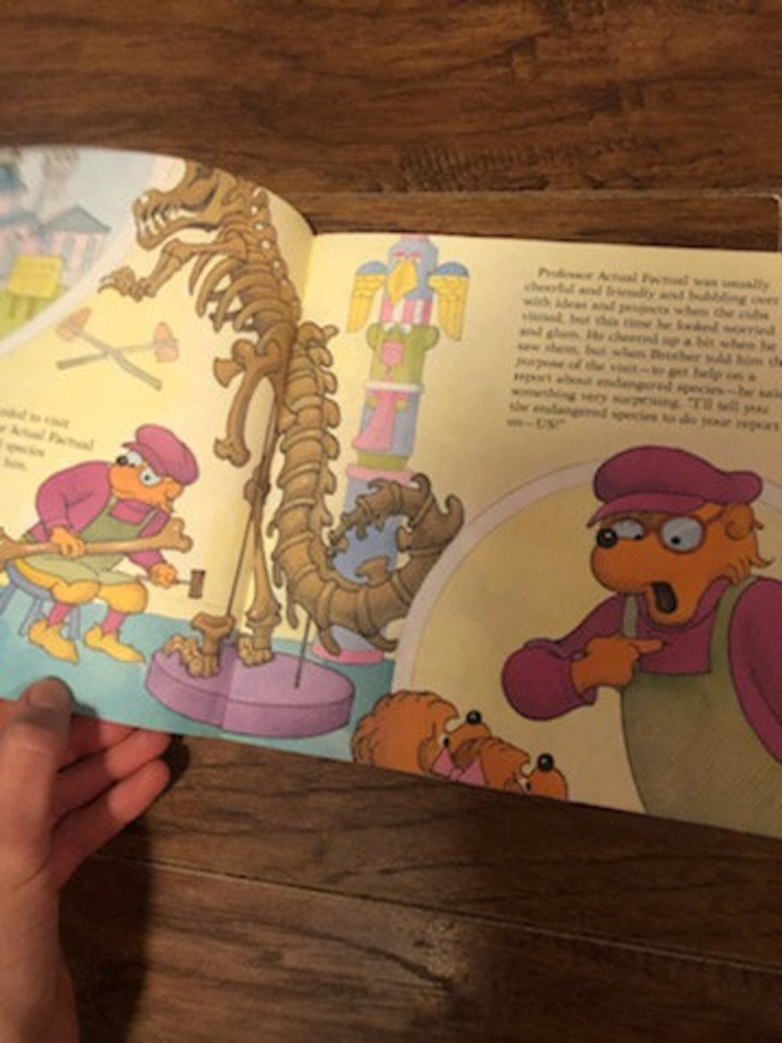 1991 the Berenstain Bears Don't Pollute (anymore) Save the Earth Book ...
