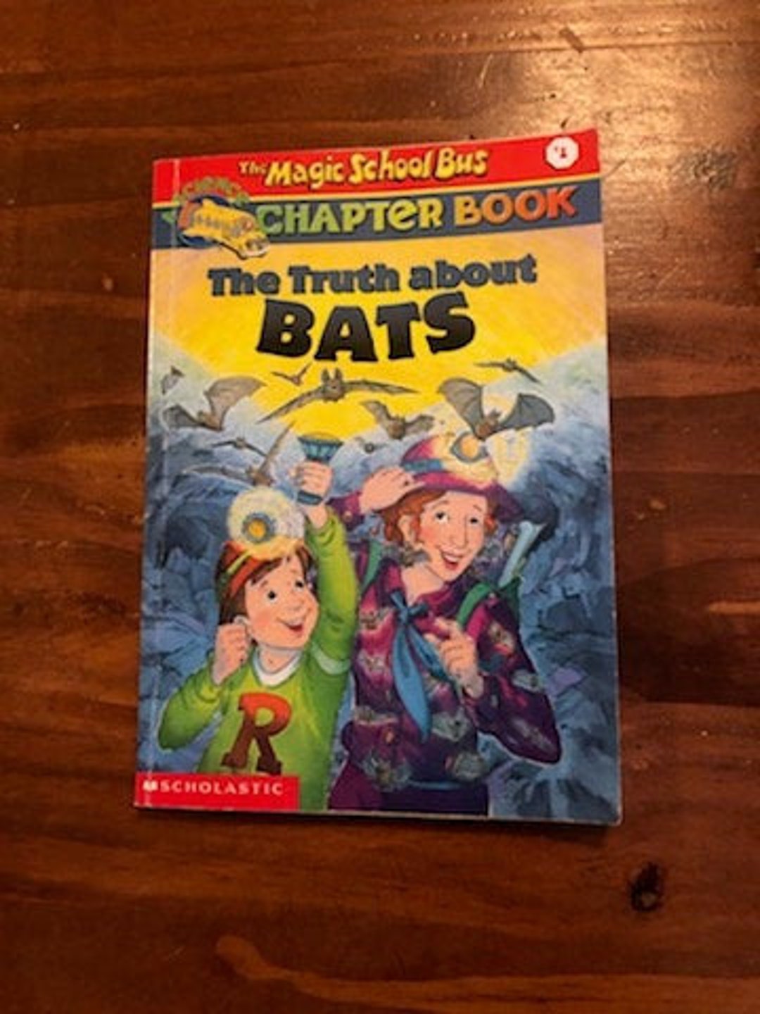 First Scholastic Printing 1999 the Magic School Bus Chapter Book the ...