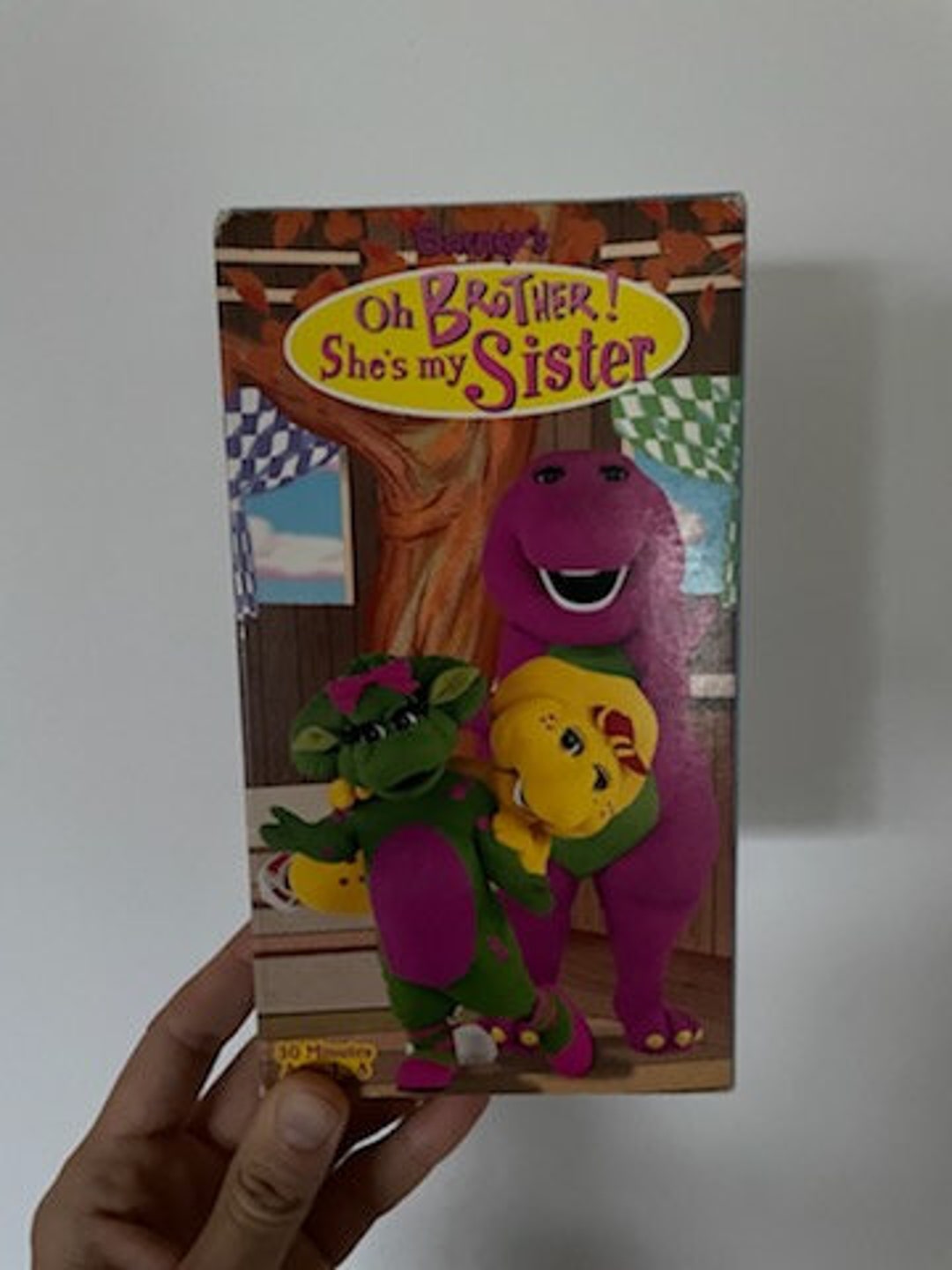 Vintage 1998 Barney VHS Tape, Oh Brother She's My Sister, Barney Movies ...