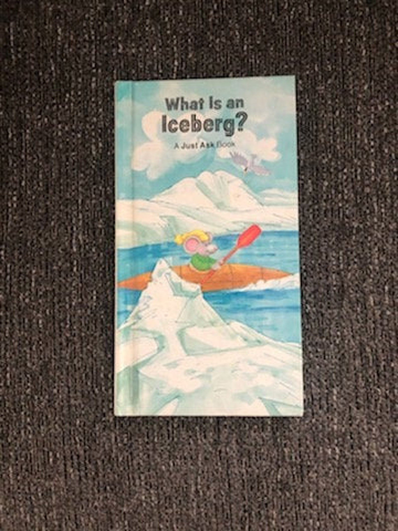 1987 Weekly Reader A Just Ask Book What Is an Iceberg Iceberg | Etsy