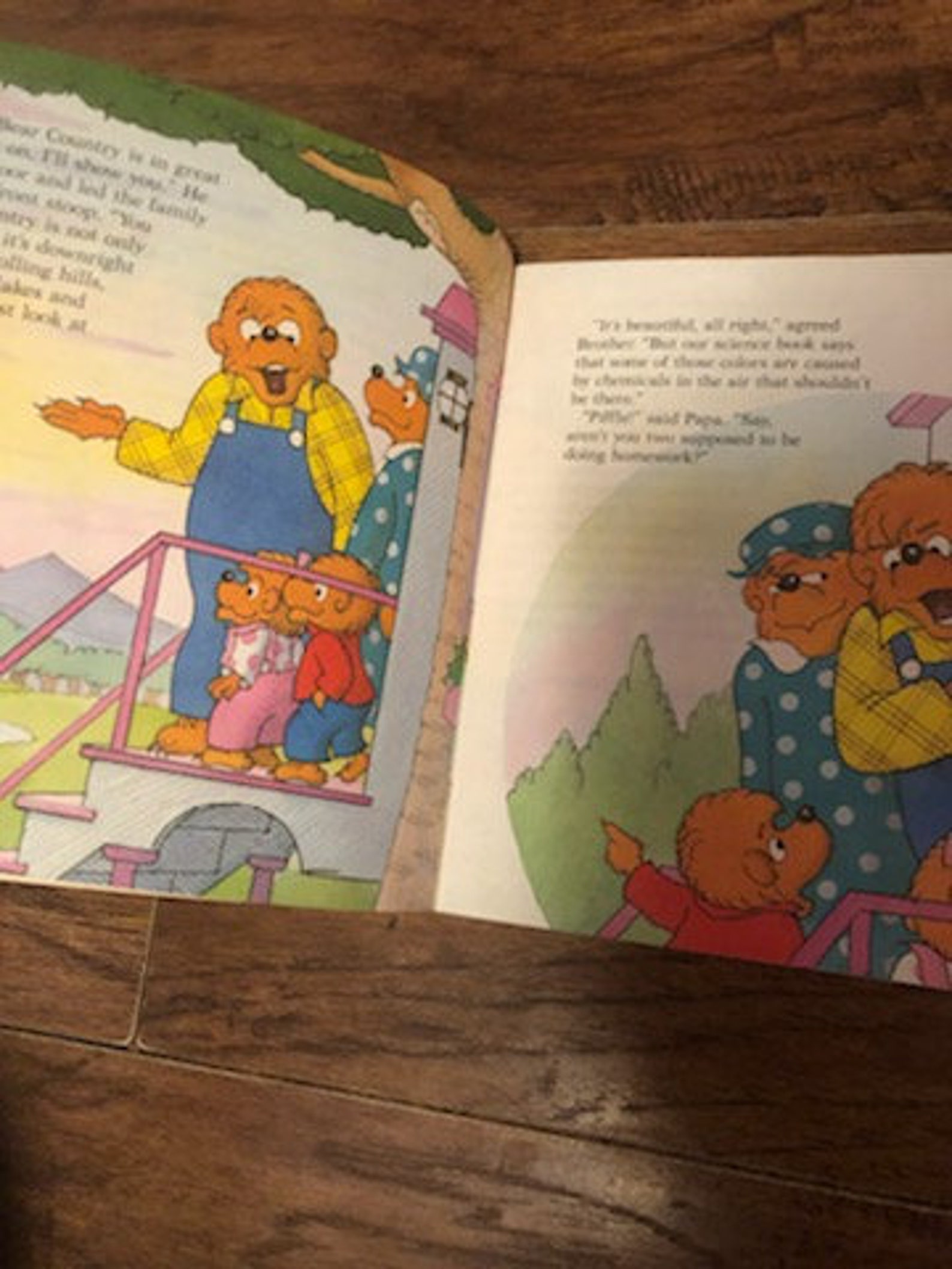 1991 the Berenstain Bears Don't Pollute anymore Save the Earth Book ...
