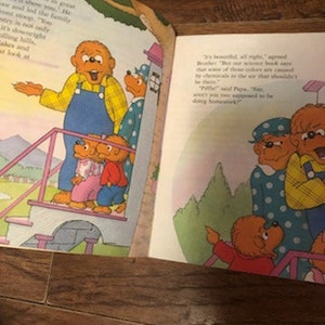 1991 the Berenstain Bears Don't Pollute (anymore) Save the Earth Book ...