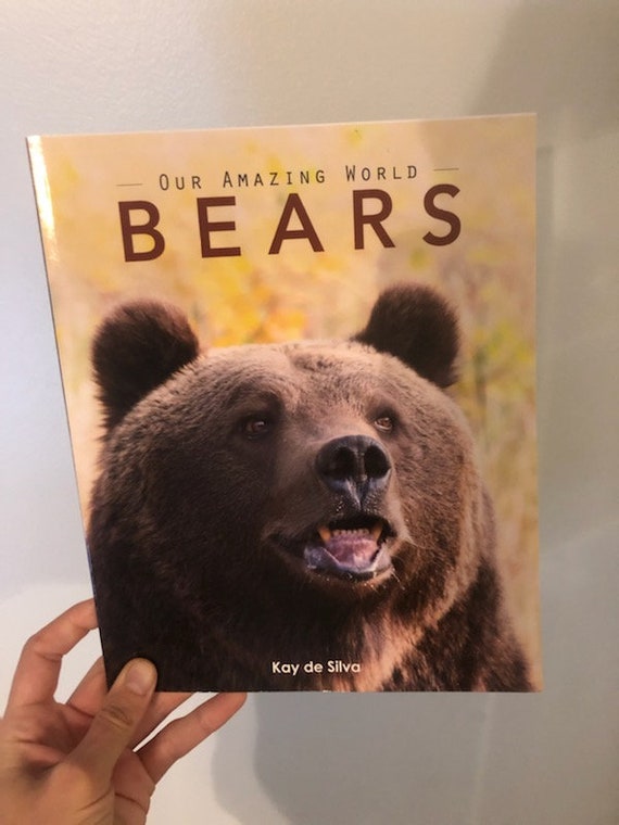 Non Fiction Bear Books