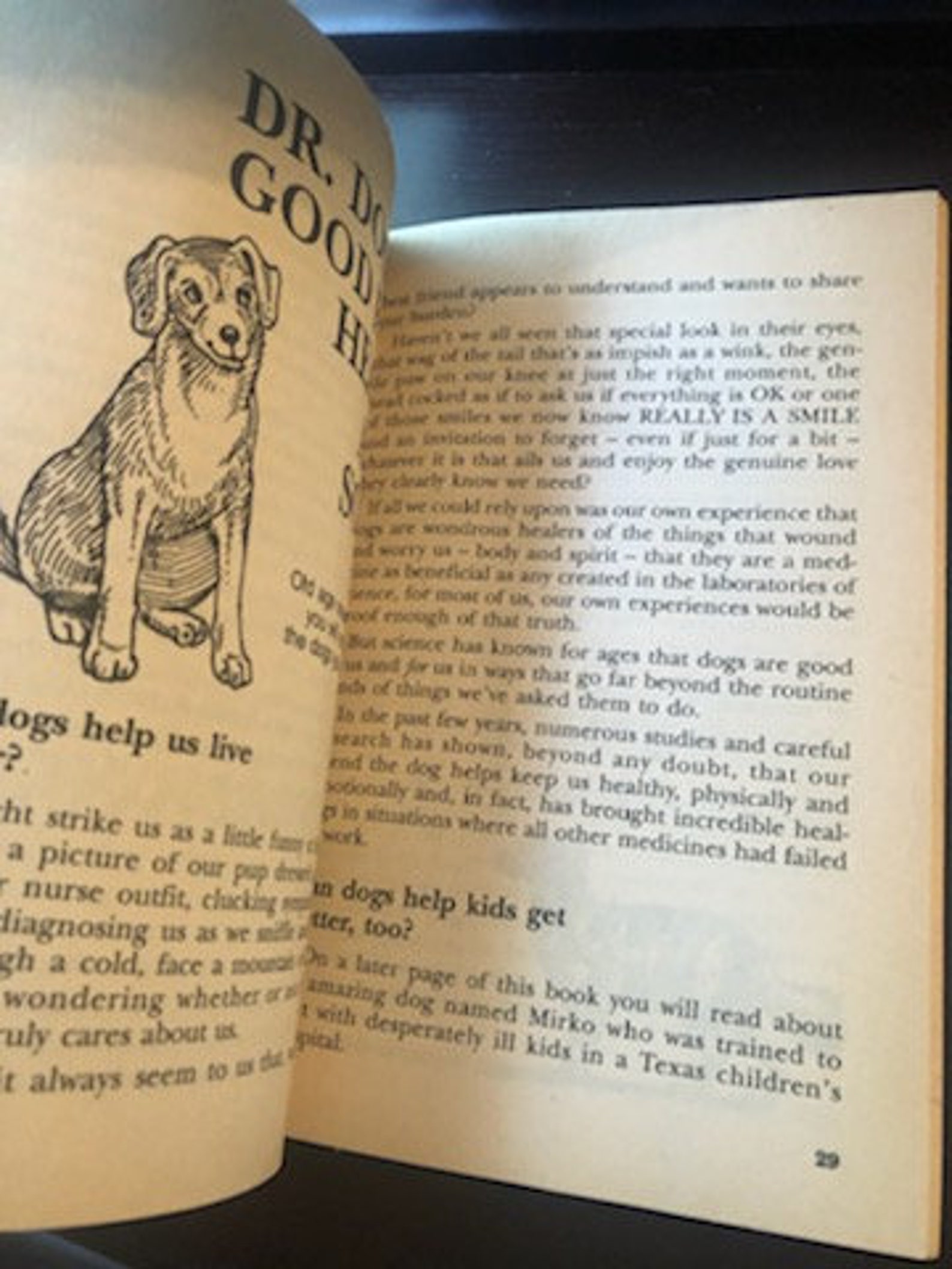 1996 Paperback Dog Reference Book What Do Dogs Dream About A | Etsy