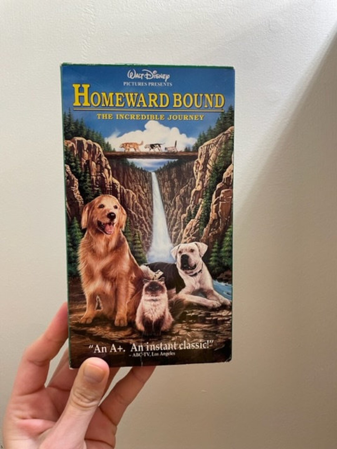 Homeward Bound: the Incredible Journey (VHS, 1993) VHS Tape, Homeward ...