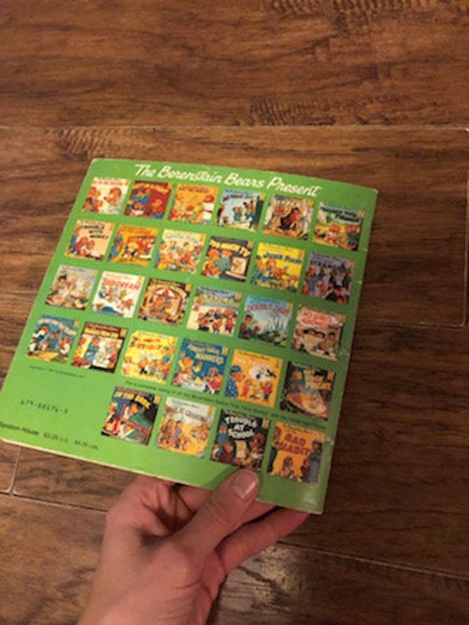 1991 the Berenstain Bears Don't Pollute anymore Save the Earth Book ...