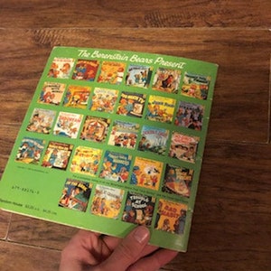 1991 the Berenstain Bears Don't Pollute (anymore) Save the Earth Book ...