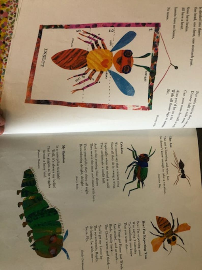 Hardcover Eric Carle's ANIMALS ANIMALS Illustrated | Etsy