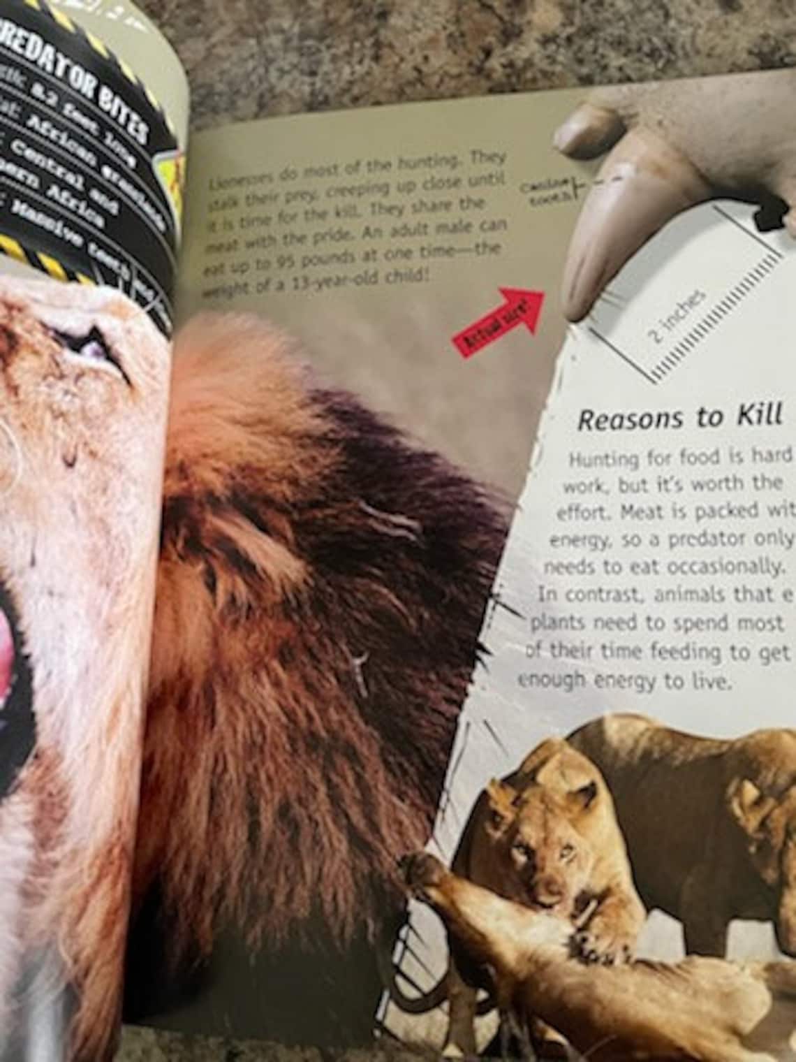 Science Animal Nature Reference Book Deadly Predators Explore - Etsy