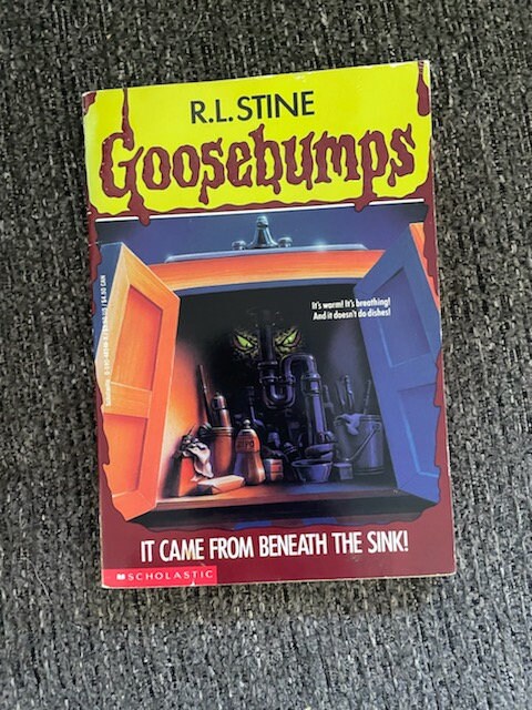 Goosebumps It Came From Beneath The Sink