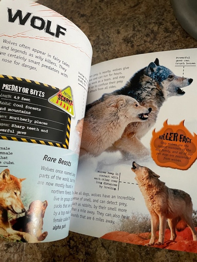 Science Animal Nature Reference Book Deadly Predators Explore the Wild ...