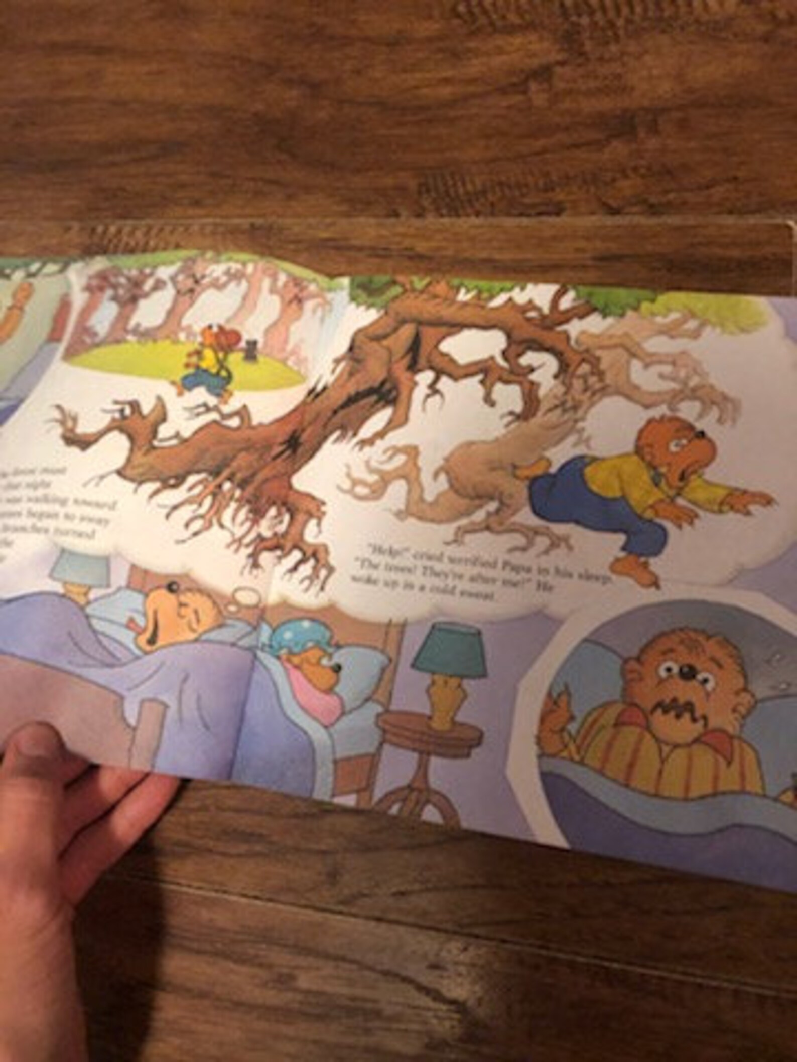 1991 the Berenstain Bears Don't Pollute anymore Save the Earth Book ...