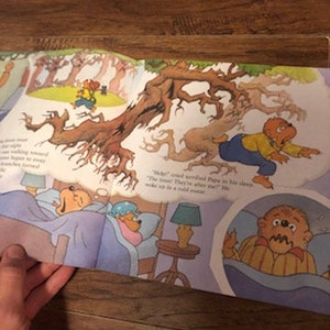 1991 the Berenstain Bears Don't Pollute (anymore) Save the Earth Book ...