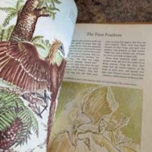 1961 Golden Library of Knowledge Hardcover69 Cents Flying Animals the ...