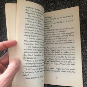 First Harper Trophy Edition 1995 Jean Craighead George the Fire Bug ...