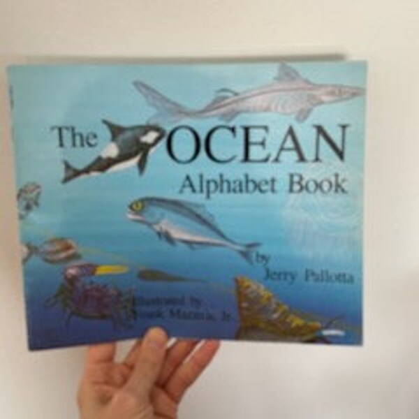 Ocean Alphabet - Etsy