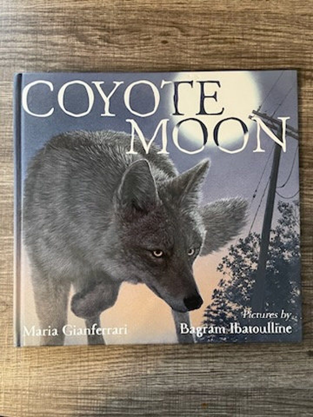 Hardcover Children's Picture Book, Coyote Moon by Maria Gianferrari and ...