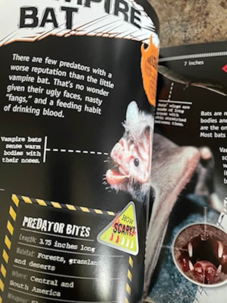 Science Animal Nature Reference Book Deadly Predators Explore the Wild ...