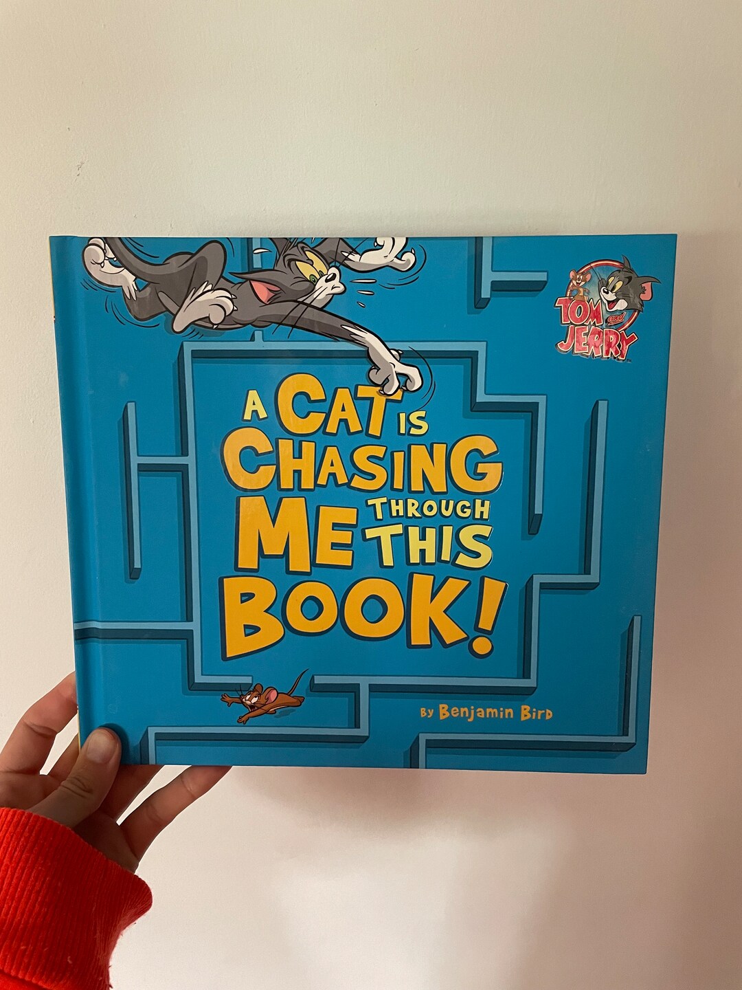 Tom and Jerry Hardcover Children's Book A Cat is Chasing Me Through ...