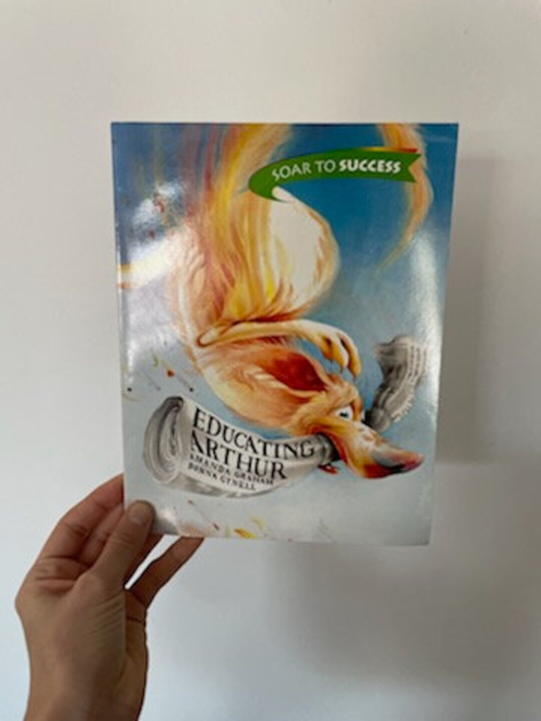 1999 Paperback Soar to Success Educating Arthur by Amanda Graham Donna ...