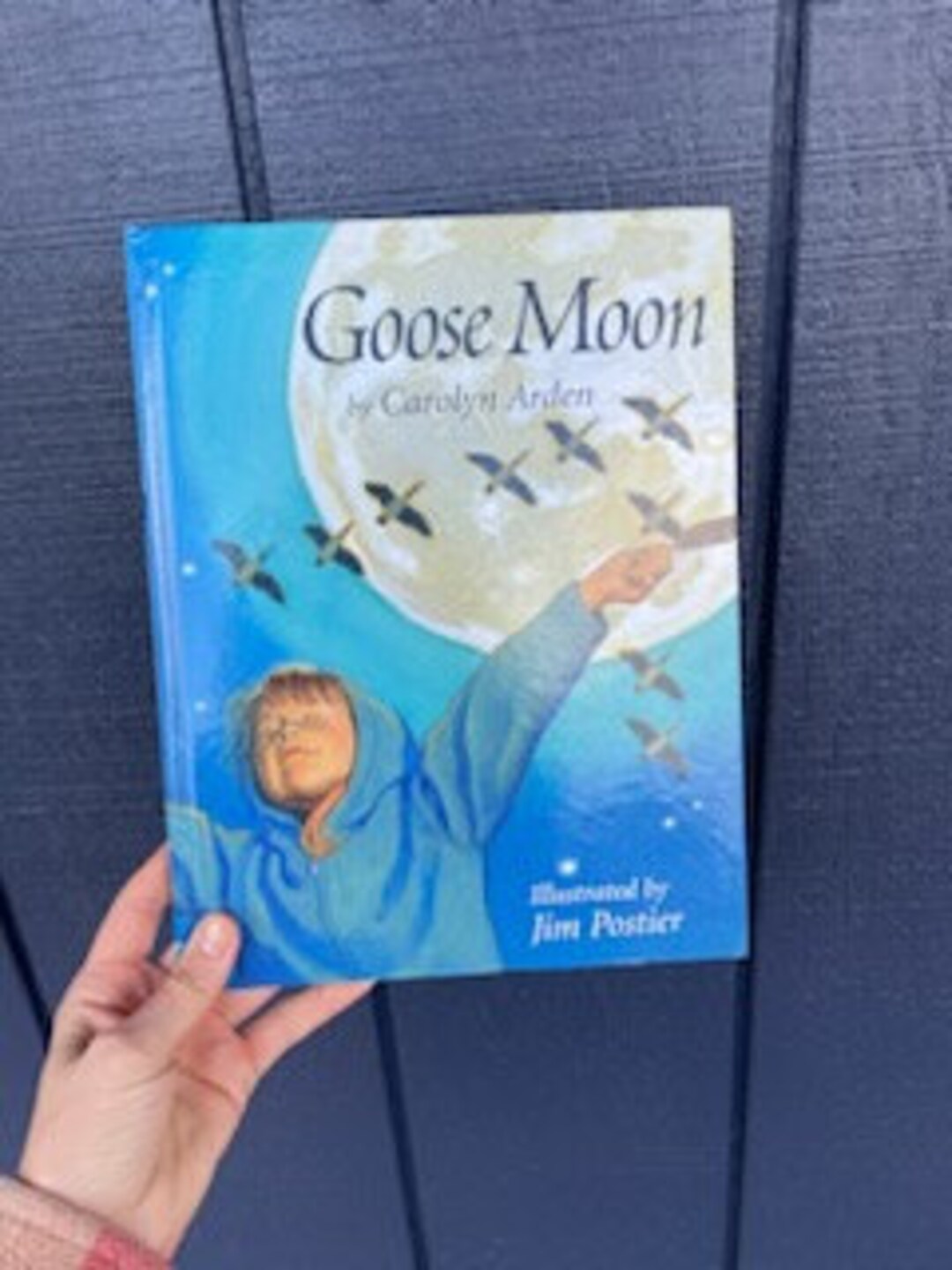 Hardcover Children's Book Goose Moon by Carolyn Arden and Jim Postier ...