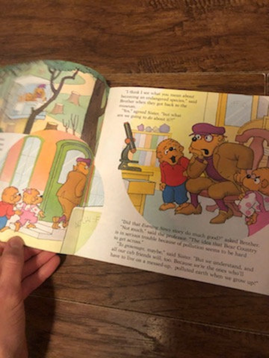1991 the Berenstain Bears Don't Pollute (anymore) Save the Earth Book ...