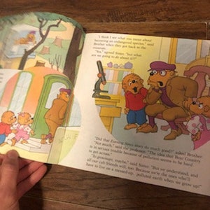 1991 the Berenstain Bears Don't Pollute (anymore) Save the Earth Book ...