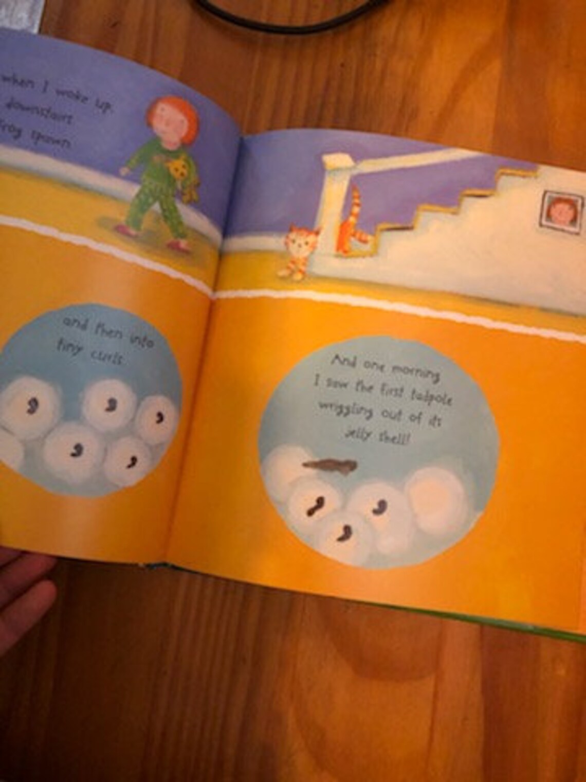 Hardcover Growing Frogs Reference Science Kids Book Vivian | Etsy