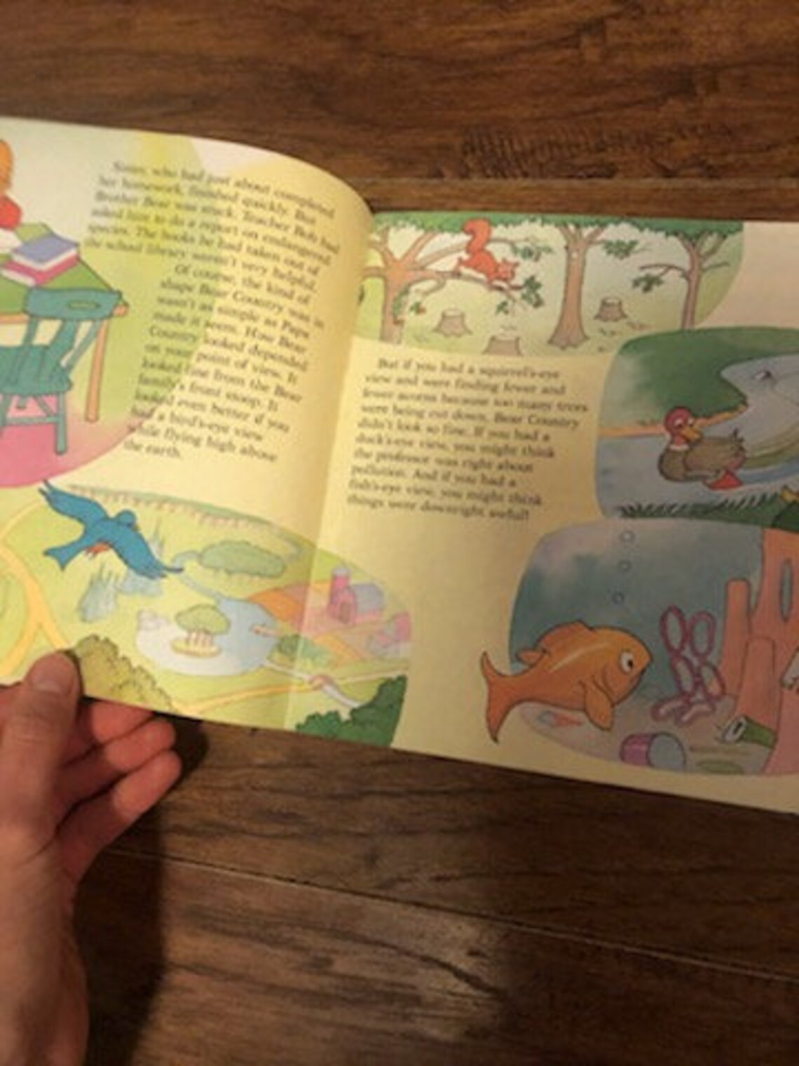 1991 the Berenstain Bears Don't Pollute (anymore) Save the Earth Book ...