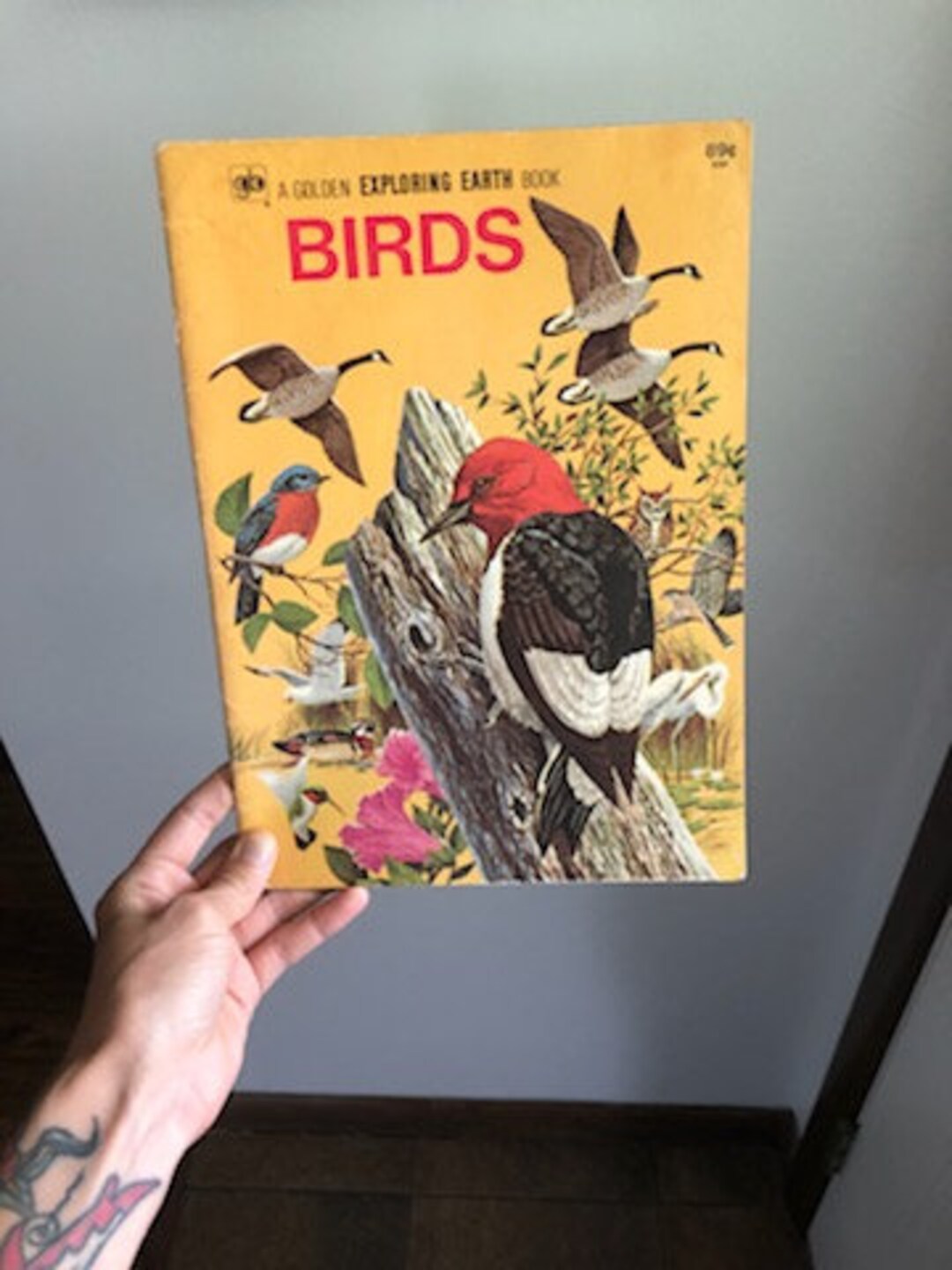 1973 Paperback A Golden Exploring Earth Book 89 Cent Birds, Bird ...