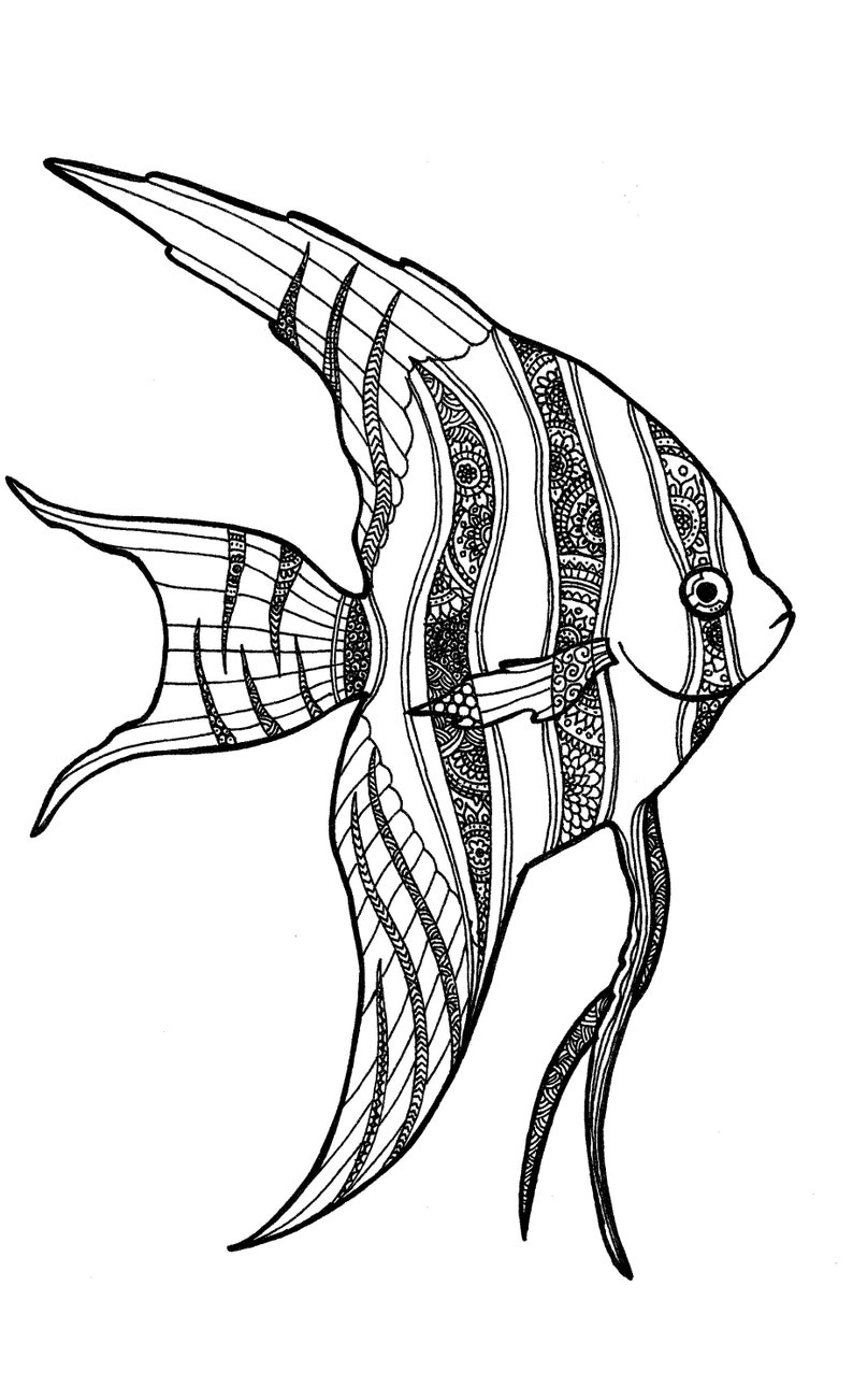 Altum Angelfish Coloring Page Digital File - Etsy