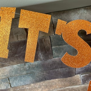 It’s S’more Fun to Be One, S’more Decorations, Campfire Birthday Party ...