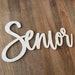 Senior Sign, Graduation Sign, Senior Pictures Sign, DIY Birch Sign ...