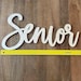 Senior Sign, Graduation Sign, Senior Pictures Sign, DIY Birch Sign ...