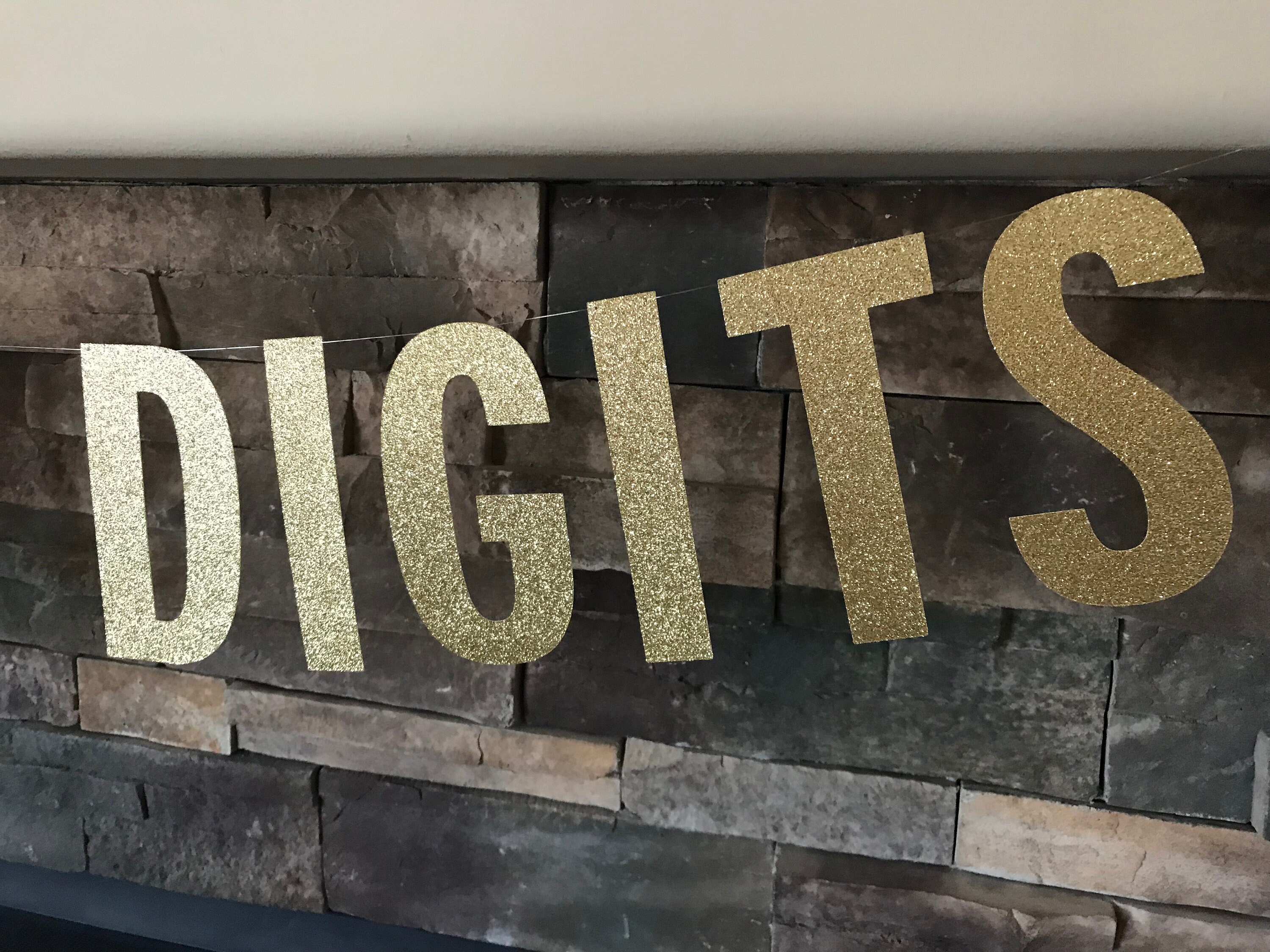 Double Digits Banner / Double Digits / 10th Birthday Party / - Etsy