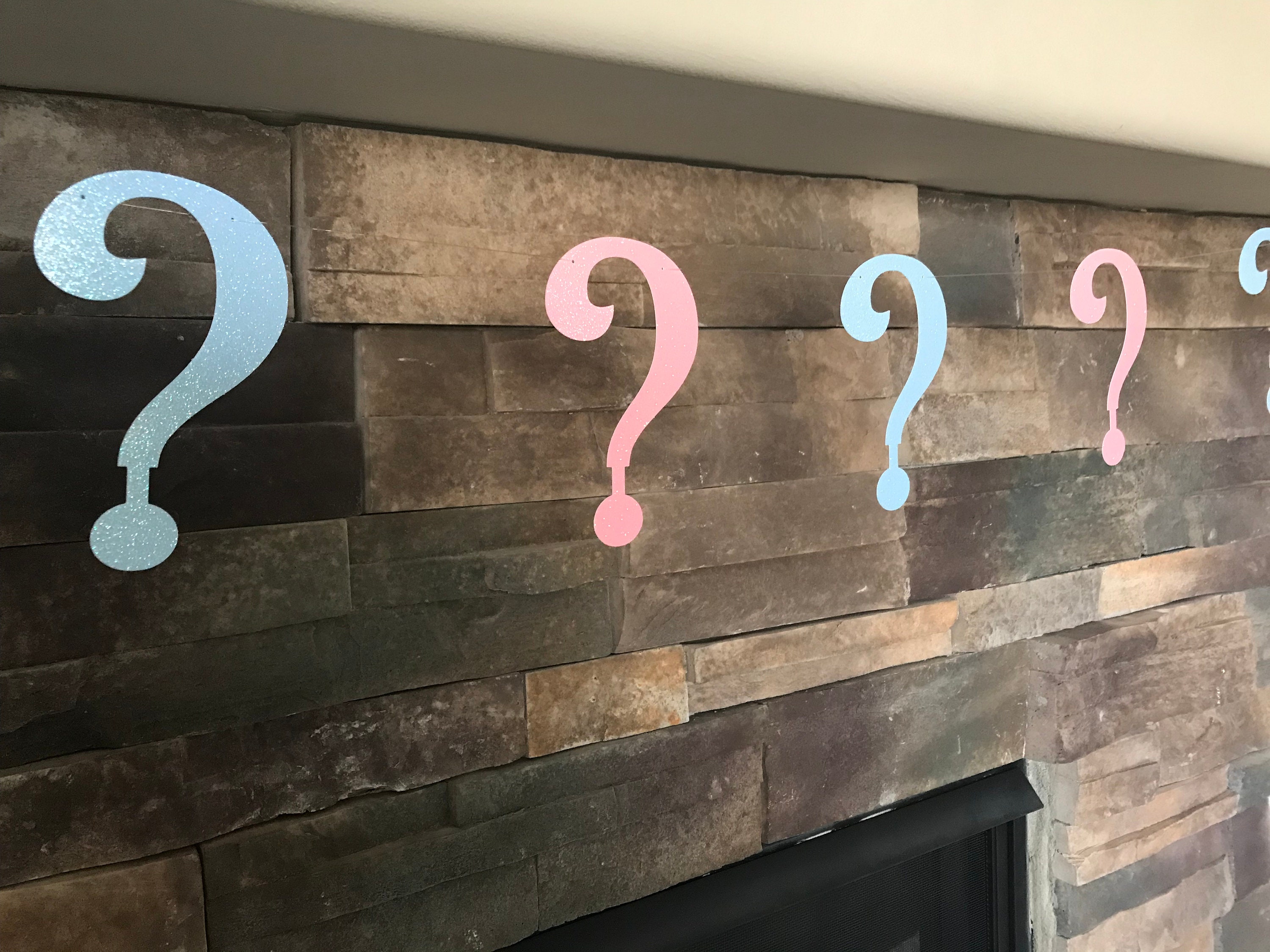 Gender Reveal Question Mark Banner / Gender Reveal Banner / | Etsy