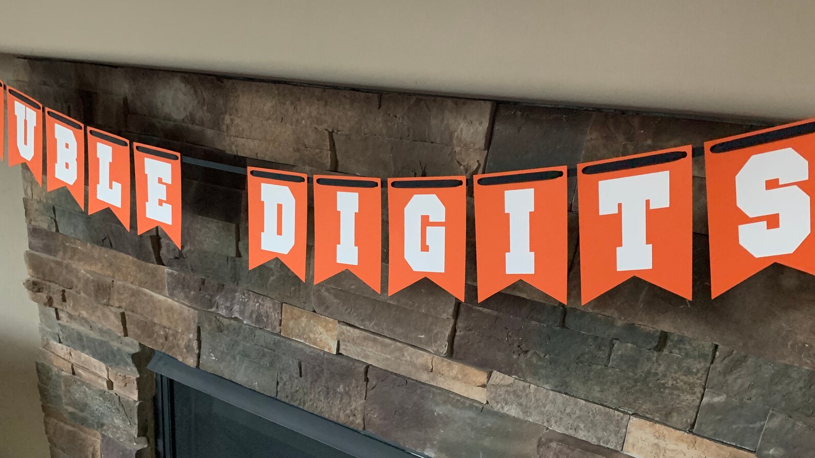 Double Digits Banner Double Digits 10th Birthday Party 10th | Etsy