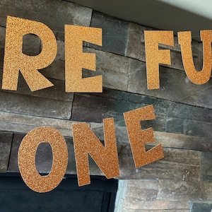 It’s S’more Fun to Be One, S’more Decorations, Campfire Birthday Party ...