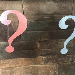Gender Reveal Question Mark Banner / Gender Reveal Banner / Gender ...