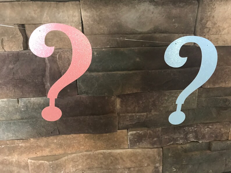 Gender Reveal Question Mark Banner / Gender Reveal Banner / - Etsy