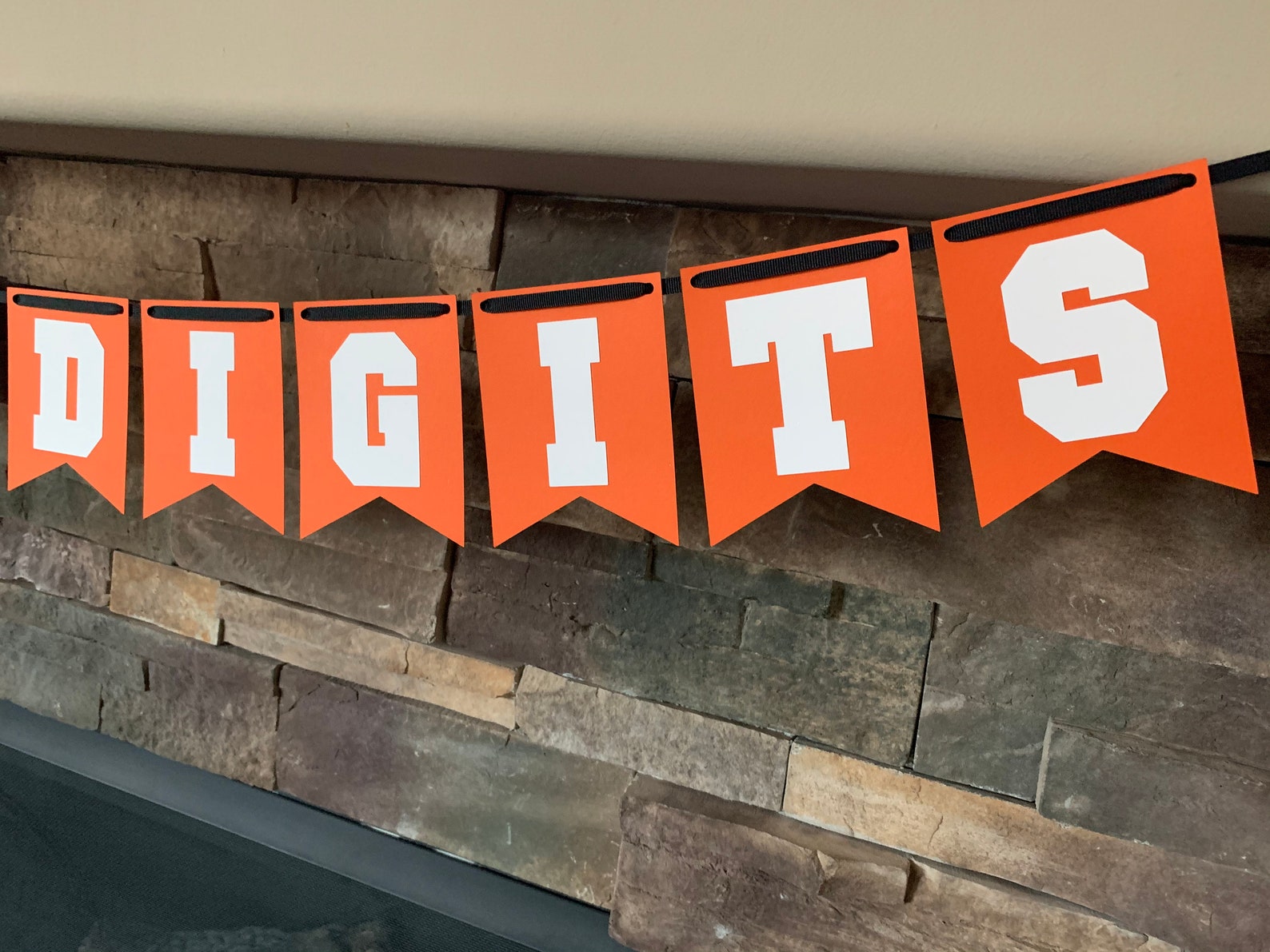 Double Digits Banner Double Digits 10th Birthday Party 10th | Etsy