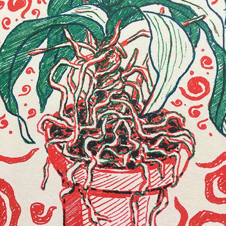 Echoes (Riso Plant Prints - Riso Succulent Print - Riso Orchid Print ...