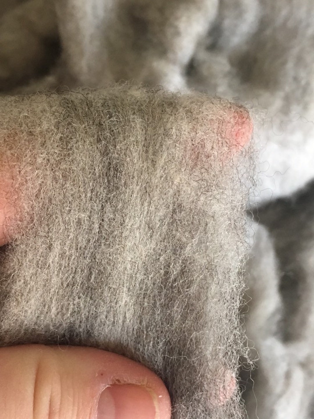 Natural Light Silver Grey CVM Cross Roving With Silk - Etsy